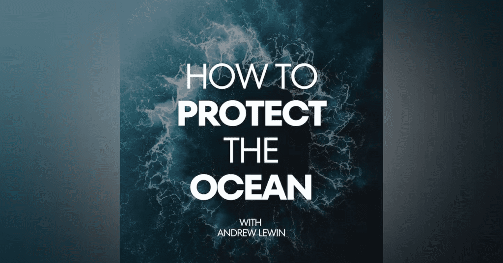 Podcast: From Sea Turtles to Marine Biology Careers: Andy's Journey at ...