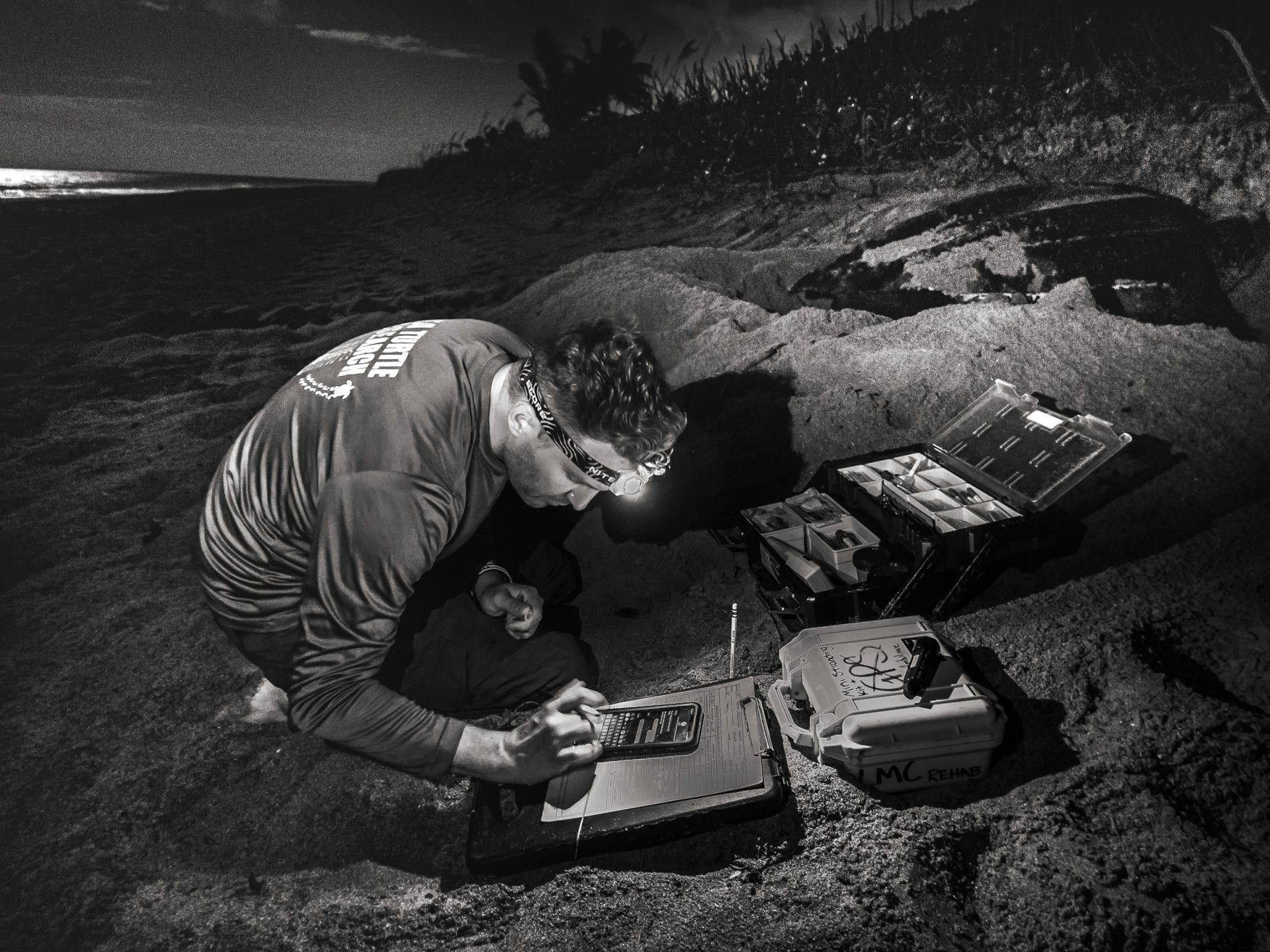 25 Years of The Leatherback Project - Loggerhead Marinelife Center